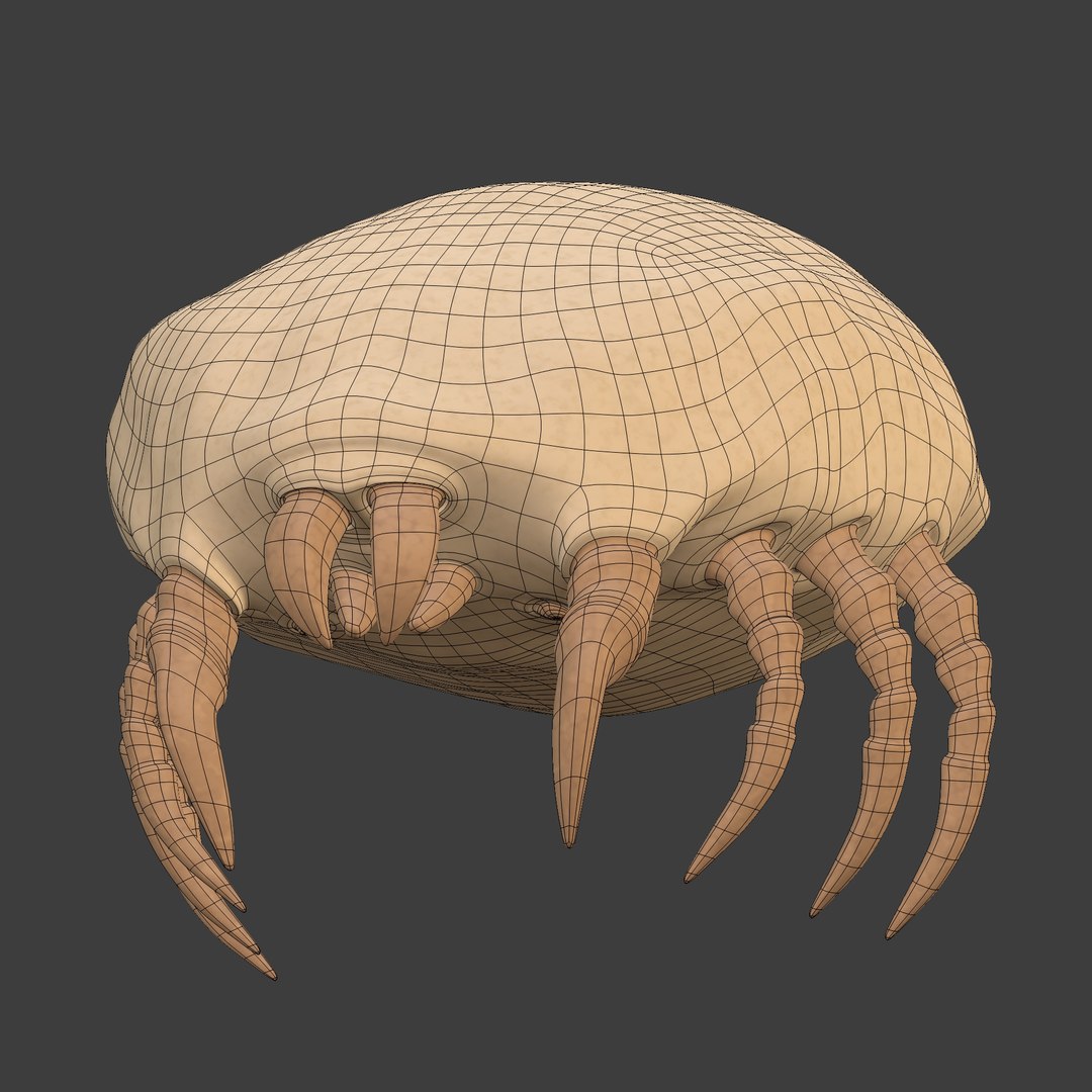 Mite 3D Model - TurboSquid 2247145