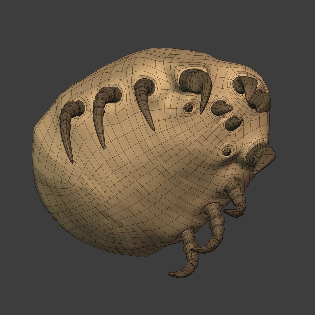 Mite 3D Model - TurboSquid 2247145