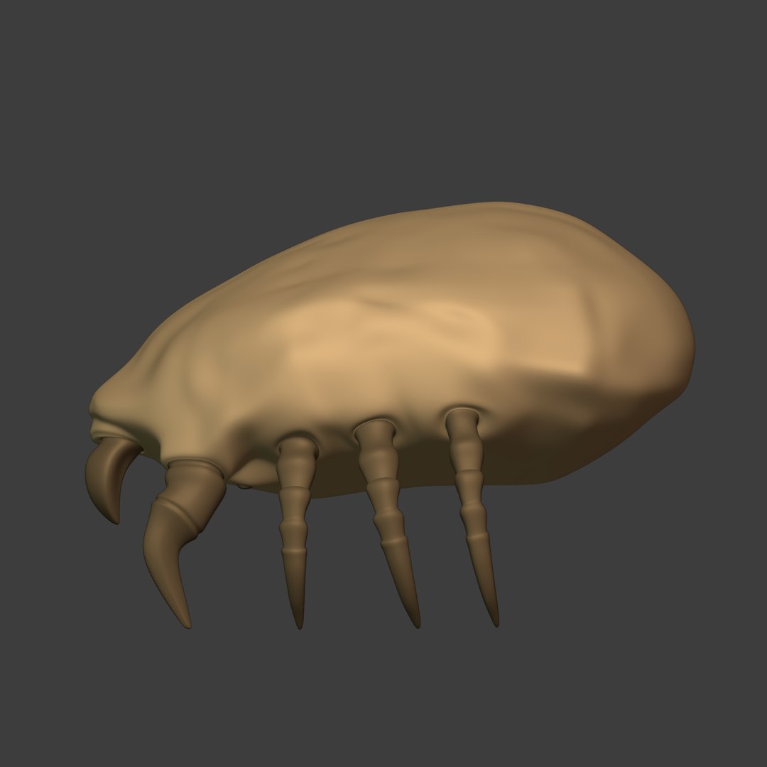 Mite 3D Model - TurboSquid 2247145