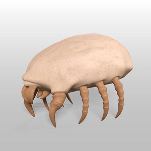 Dust Mite 3D Models for Download | TurboSquid