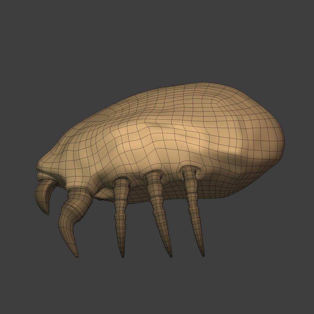 Mite 3D Model - TurboSquid 2247145