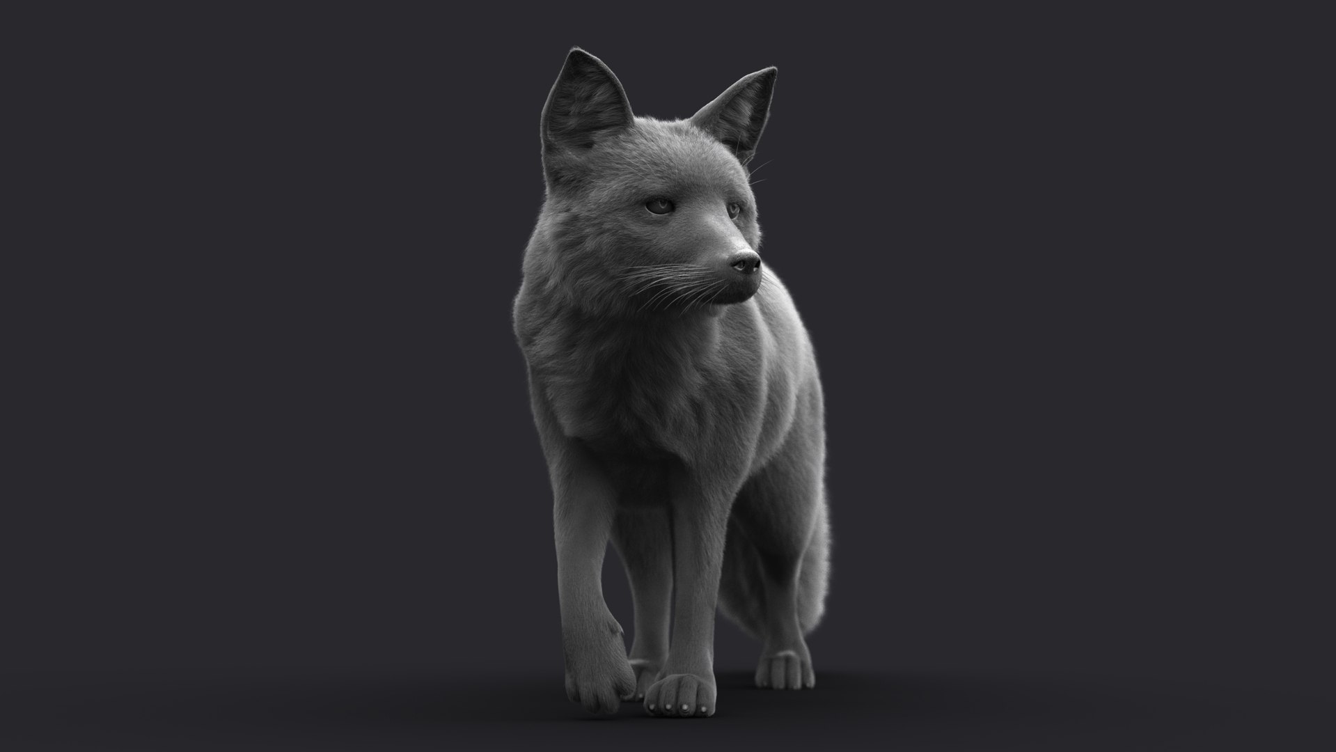 3D FOX RIG XGEN-CORE - TurboSquid 2085897