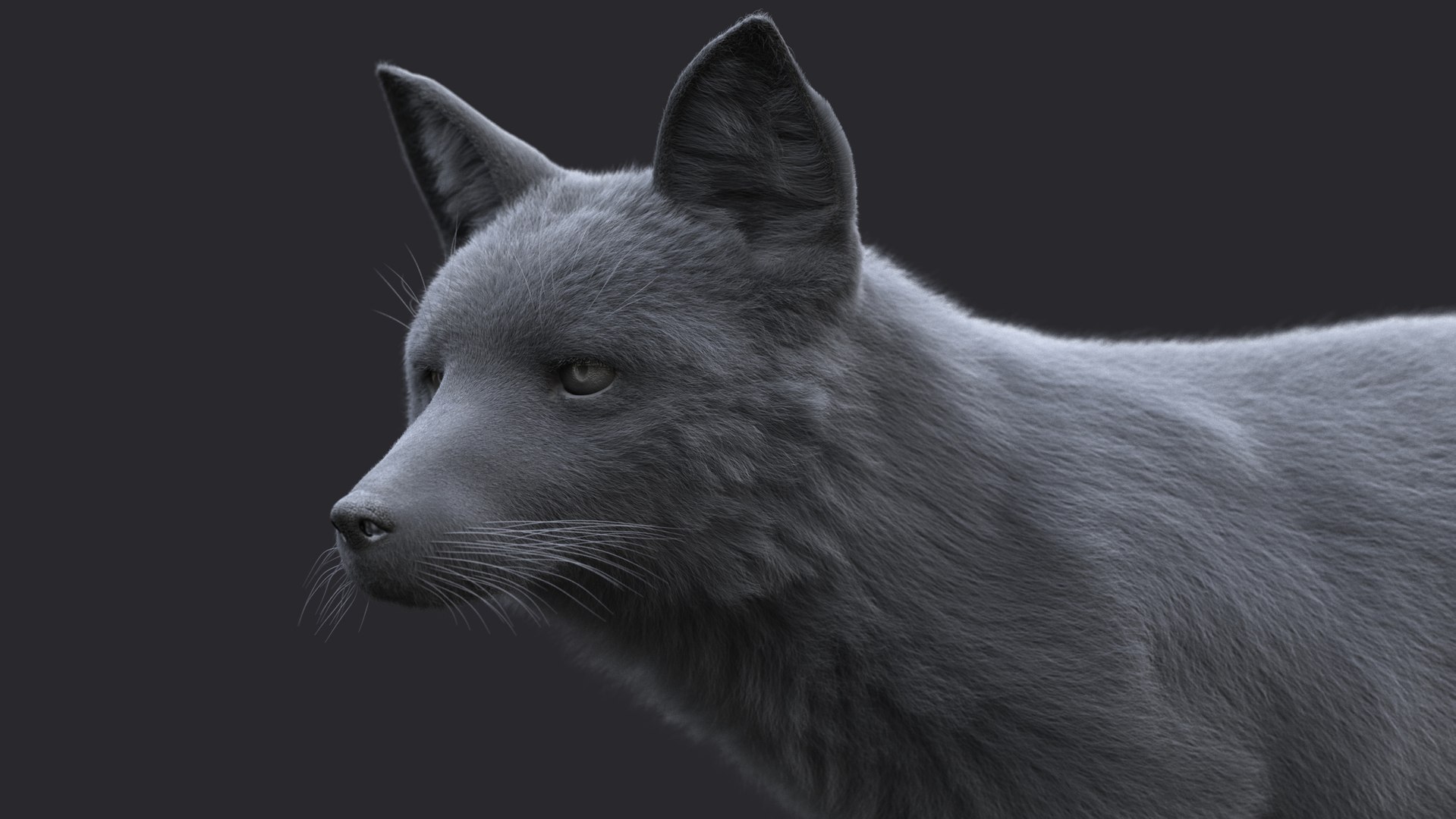 3D FOX RIG XGEN-CORE - TurboSquid 2085897