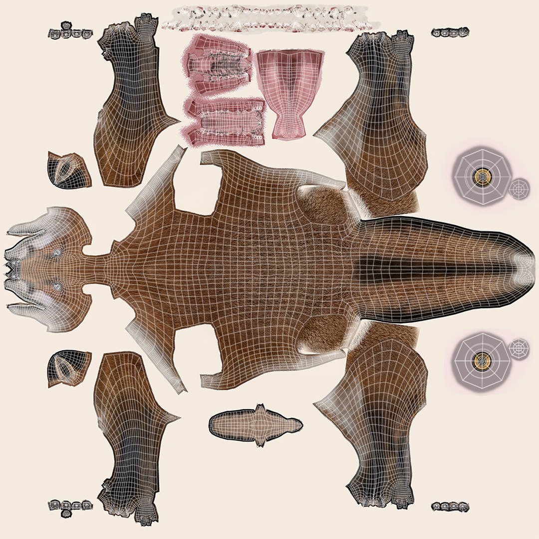 3D FOX RIG XGEN-CORE - TurboSquid 2085897