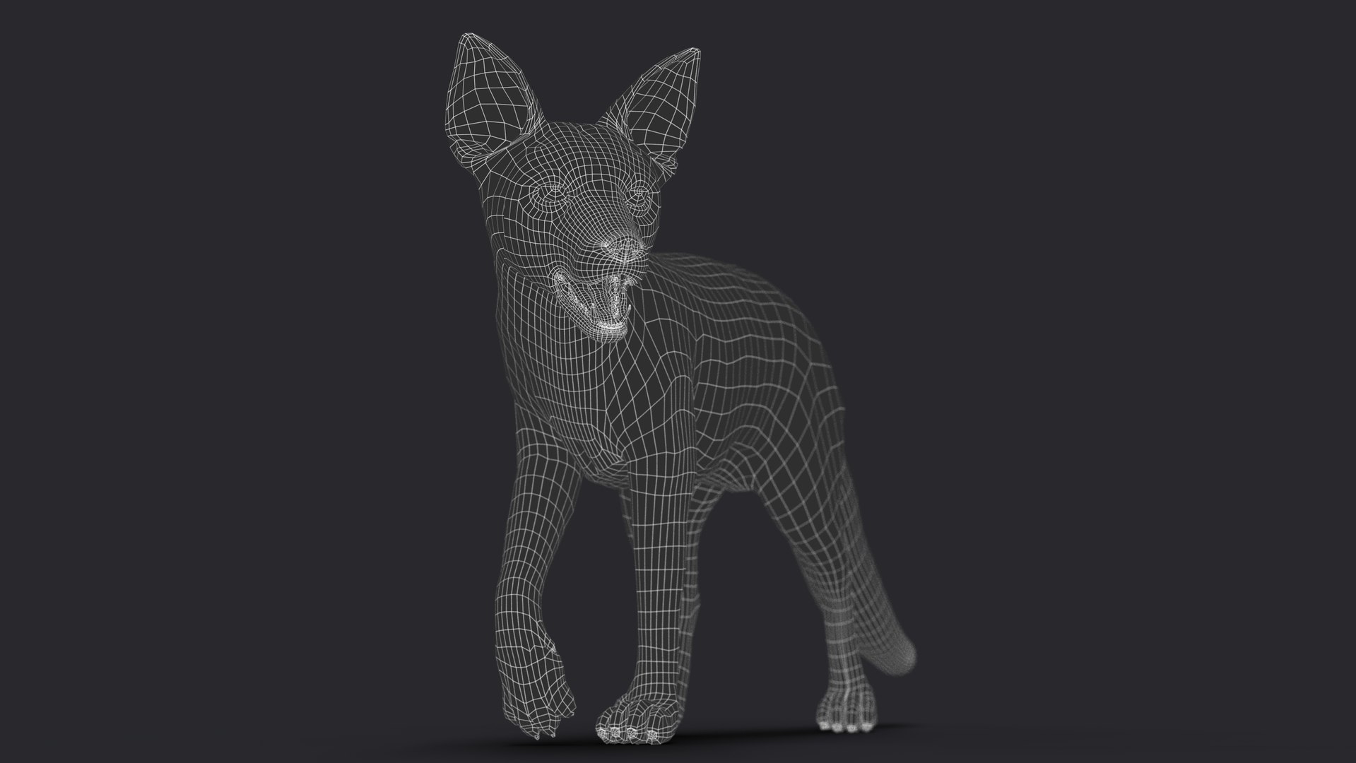3D FOX RIG XGEN-CORE - TurboSquid 2085897