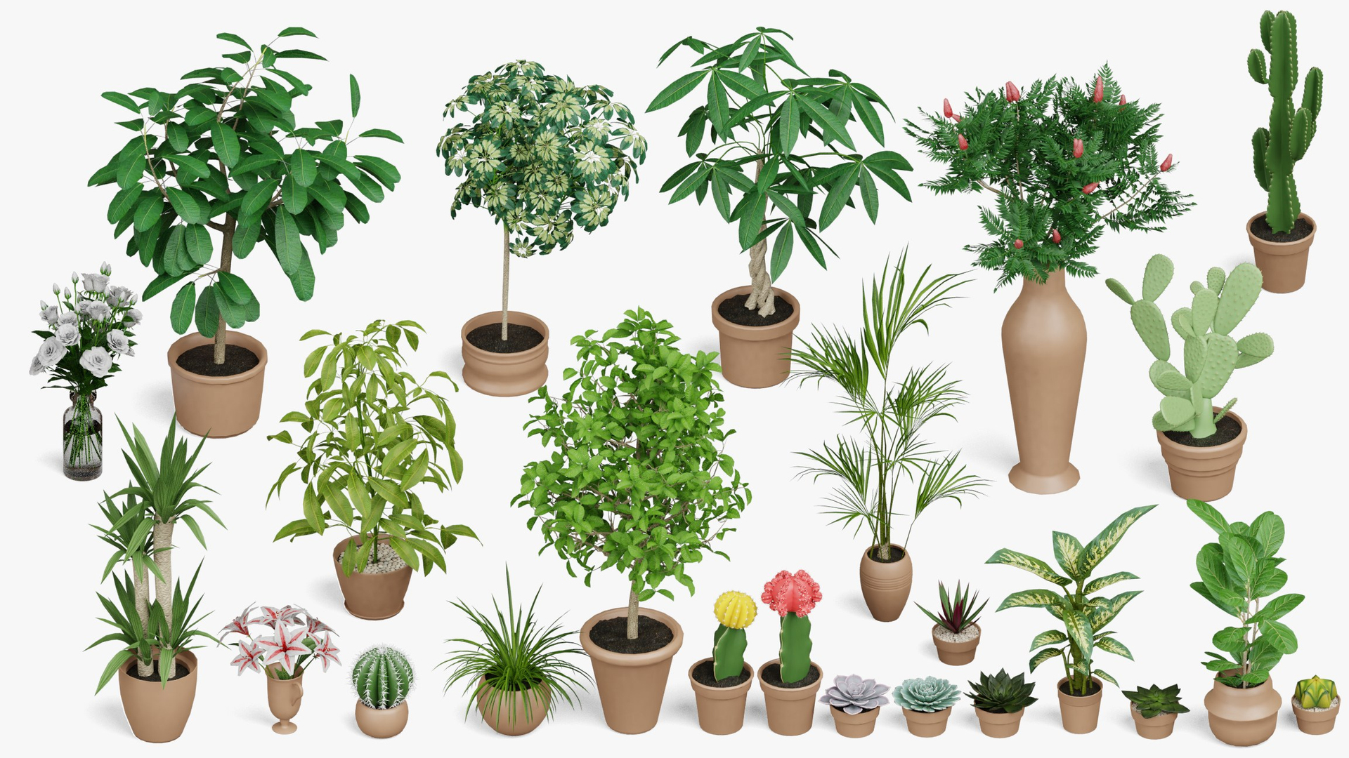 AD PLANTS Model - TurboSquid 1781898