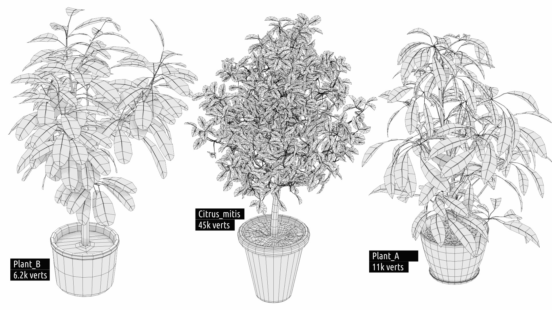 AD PLANTS Model - TurboSquid 1781898