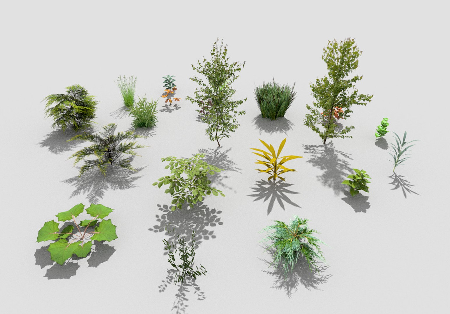 Plants 3d Model