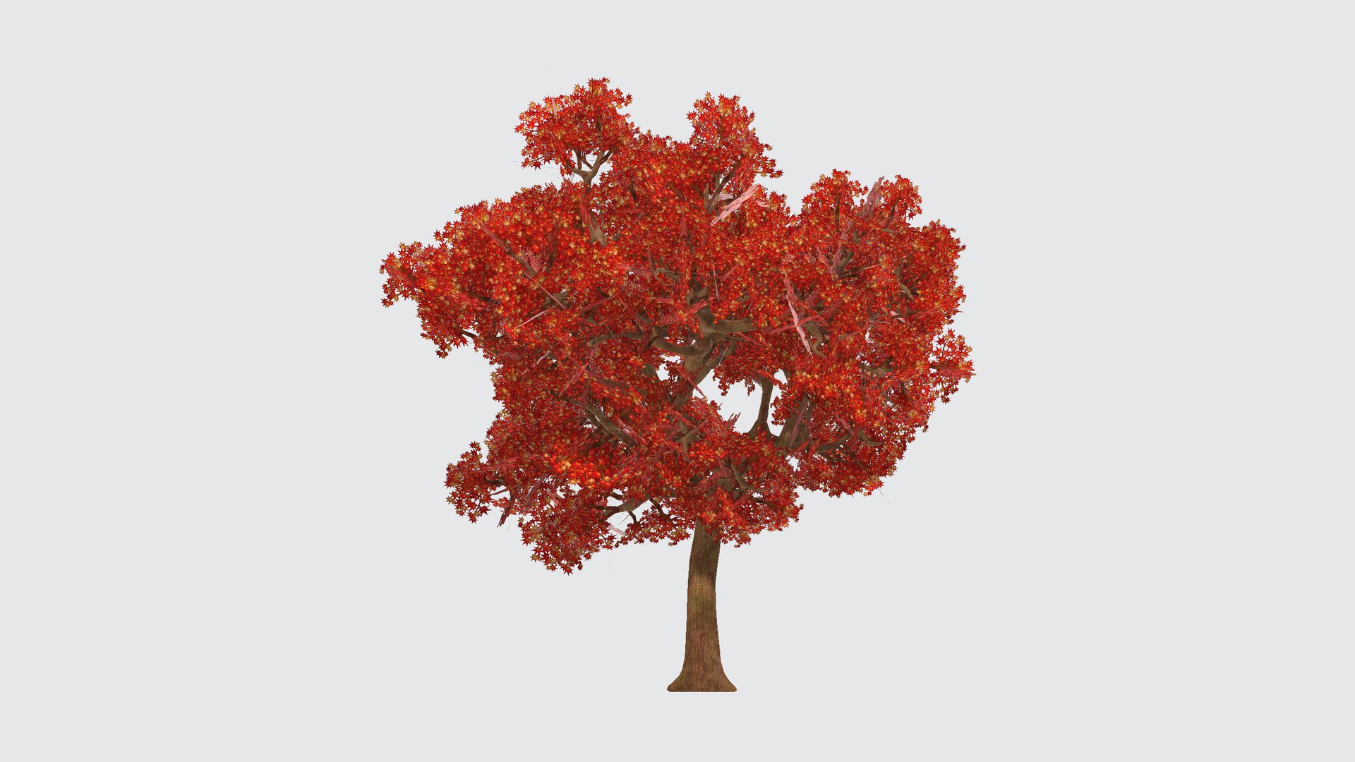 Japanese Maple 3D Model - TurboSquid 2331132