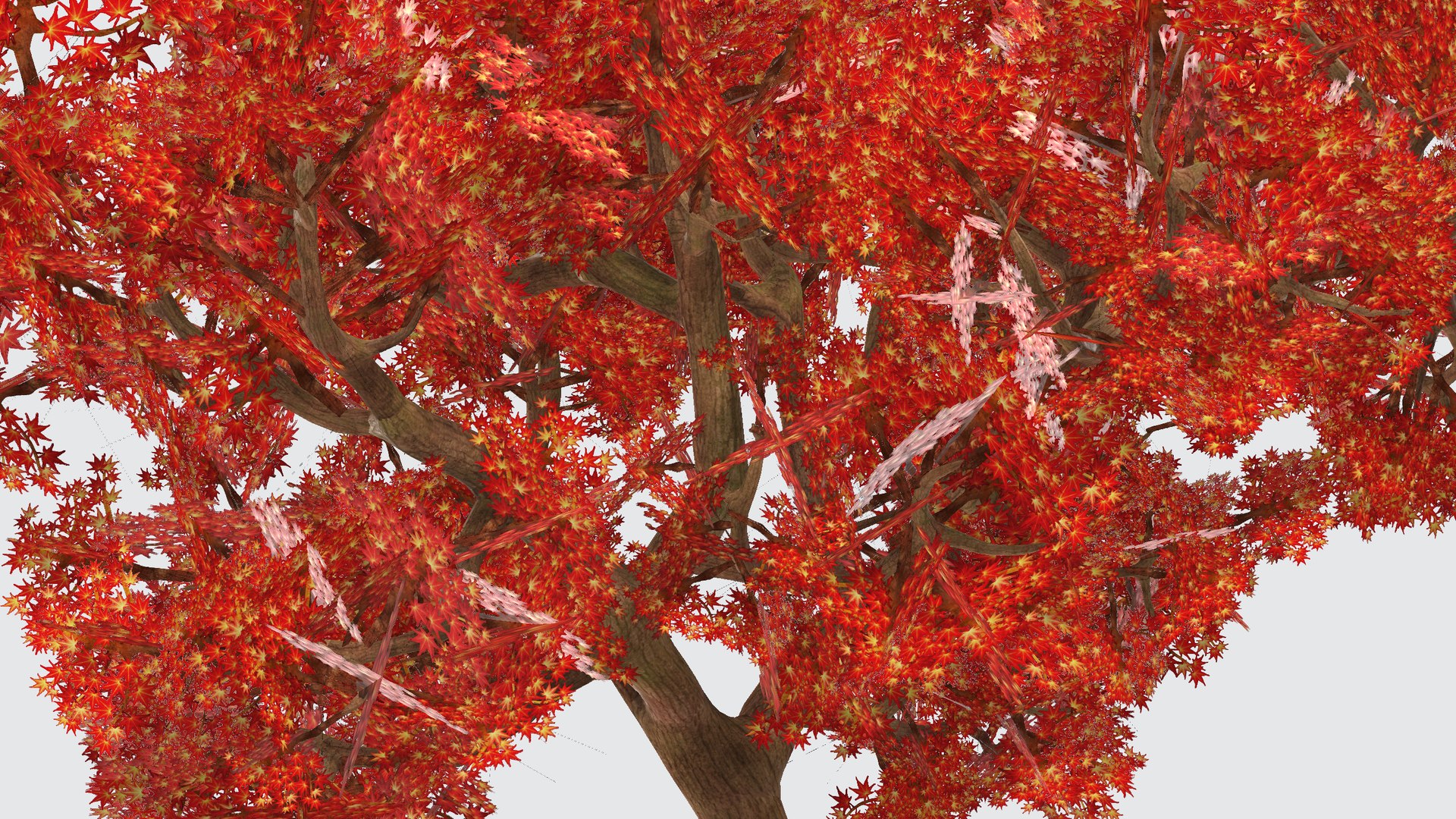 Japanese Maple 3D Model - TurboSquid 2331132