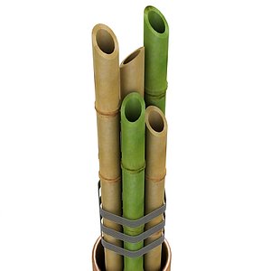 Bamboo AutoCAD drawing Models for Download | TurboSquid