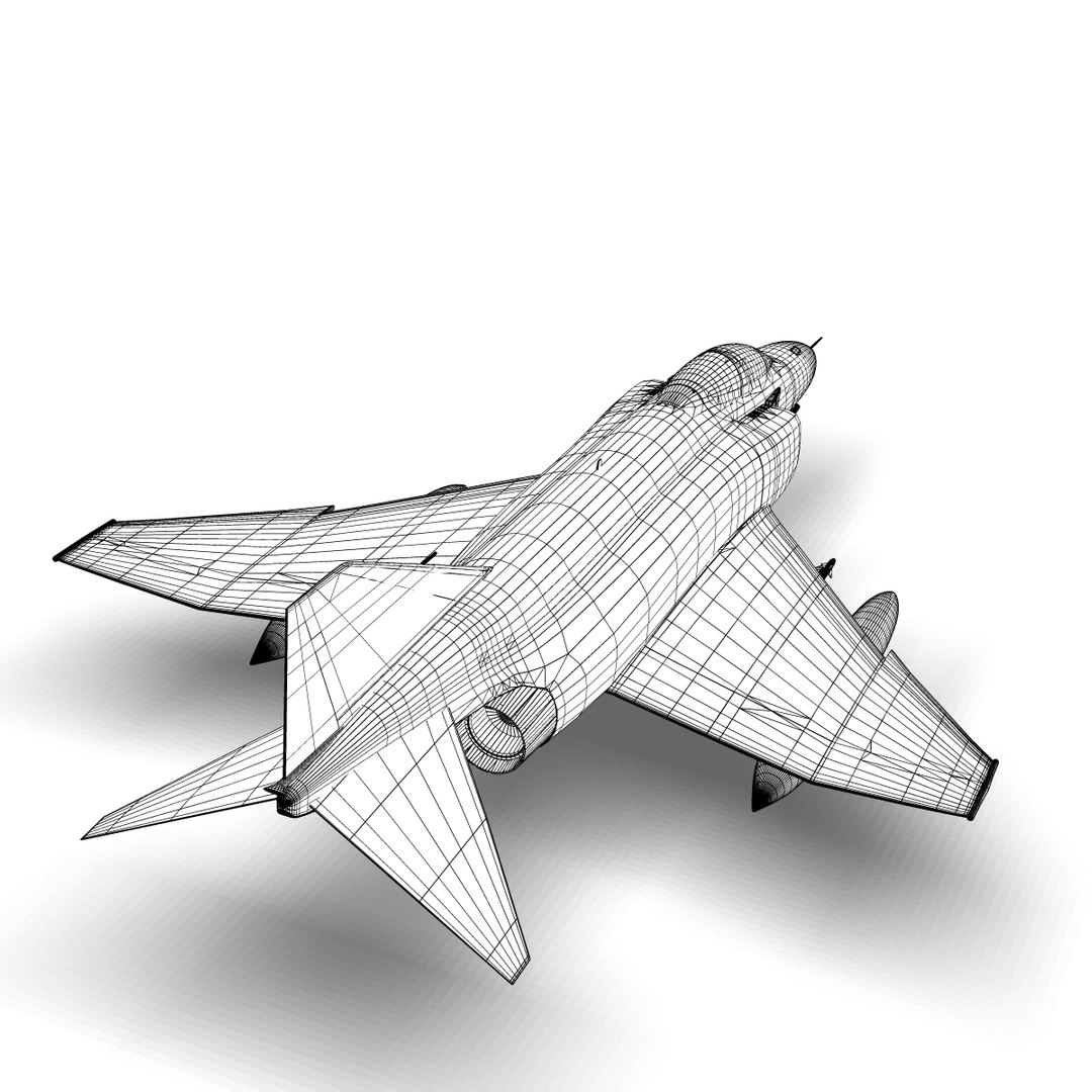 3d purchase phantom model