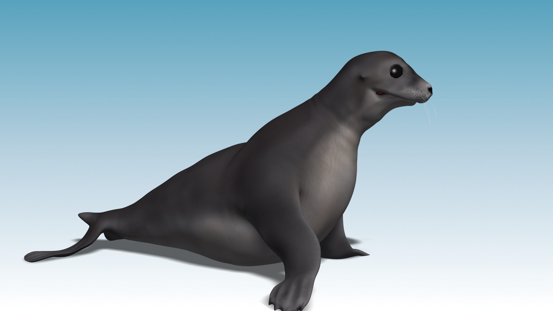 seal animation rigging max