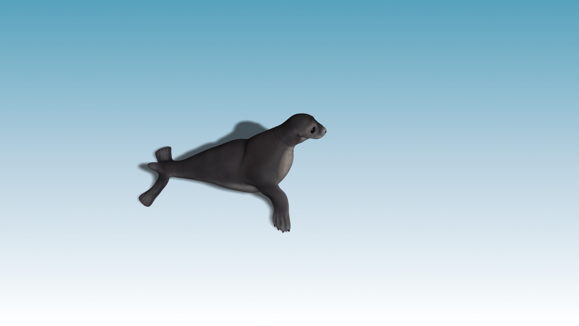 seal animation rigging max