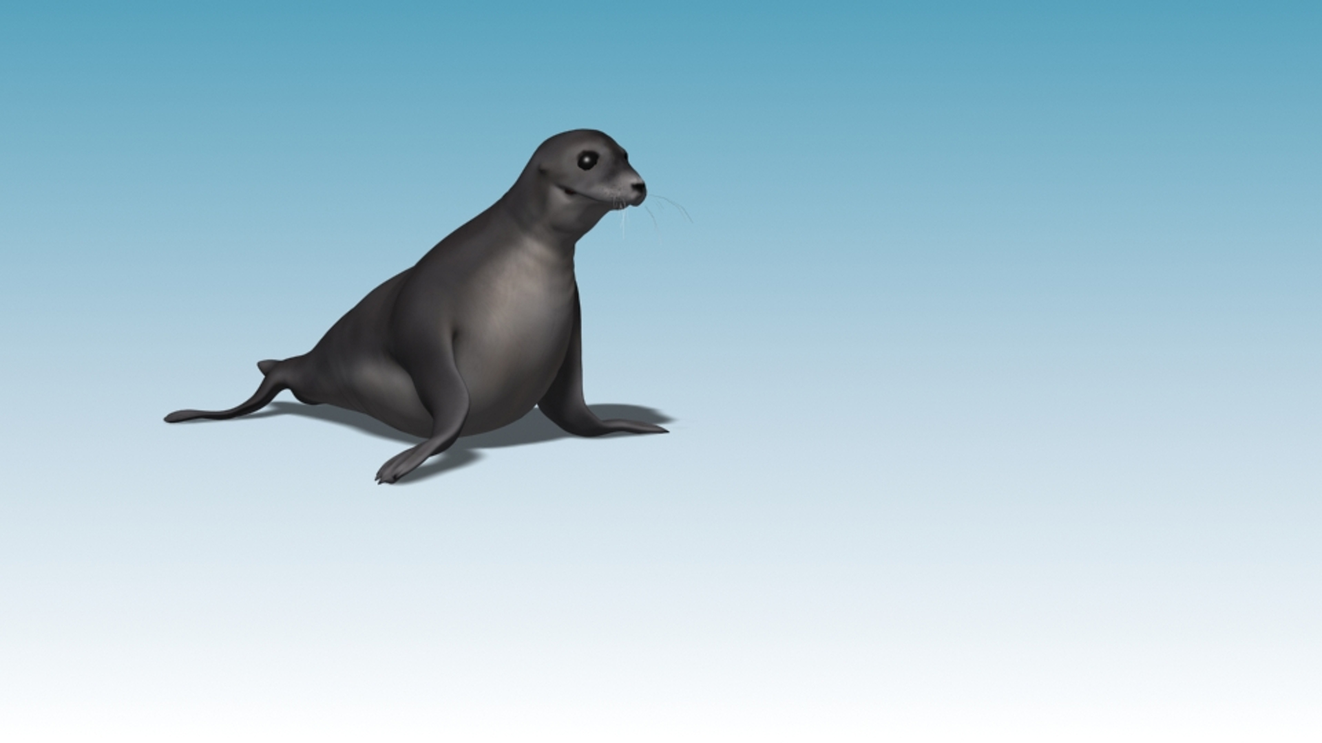 seal animation rigging max