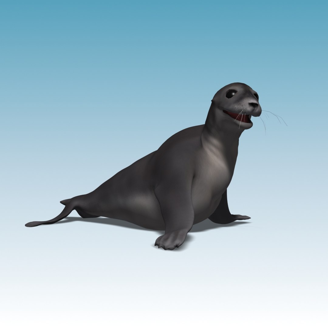 seal animation rigging max