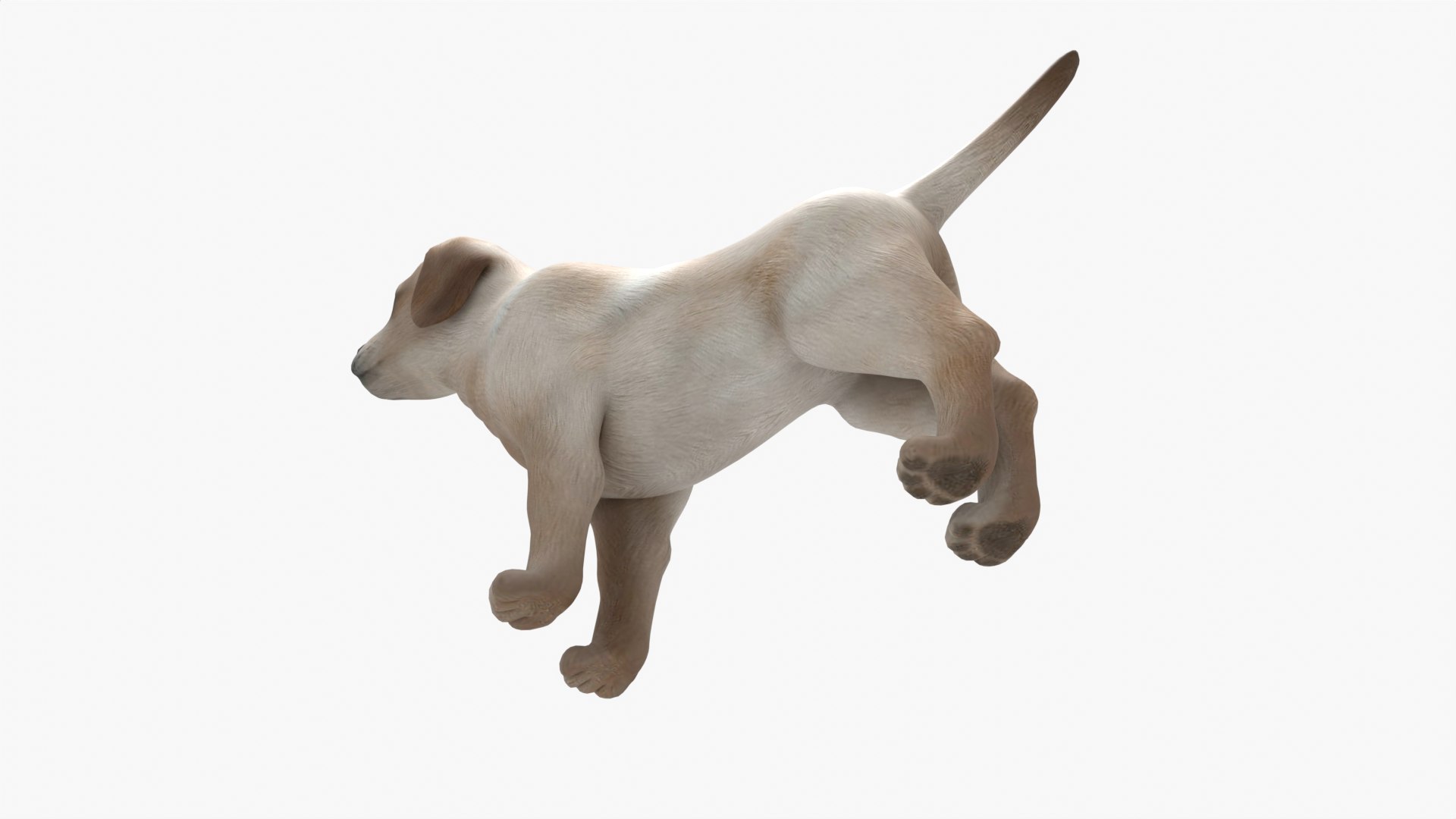 3D Model Puppy - TurboSquid 2401560
