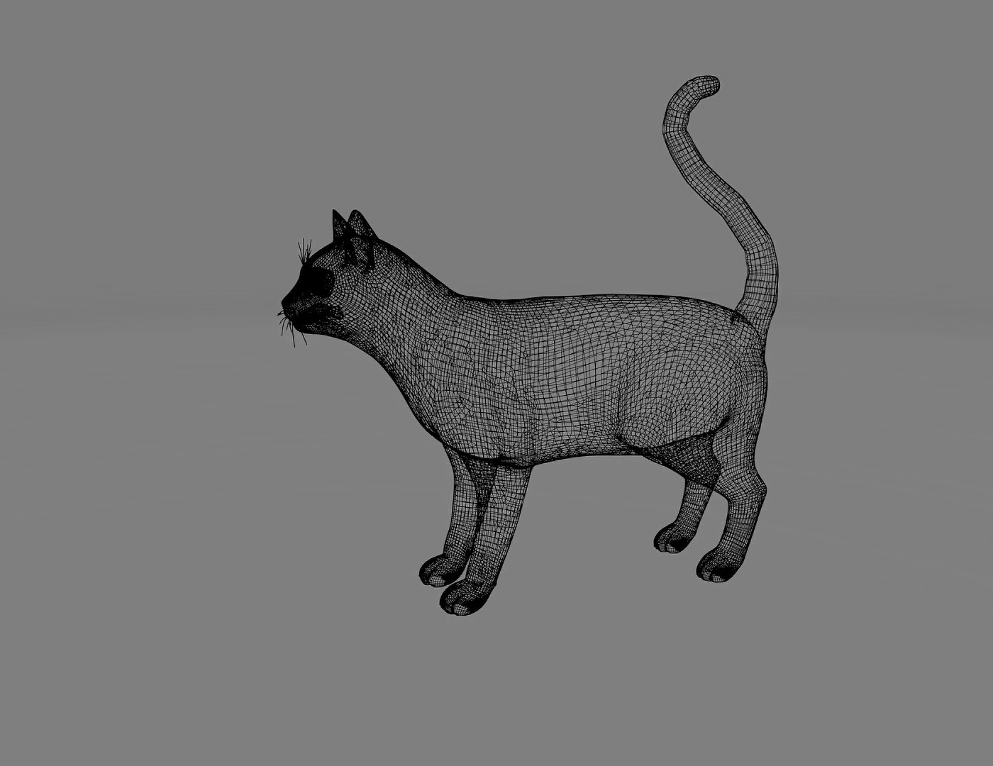 White Catty Rigged Gift 3D Model - TurboSquid 1456731