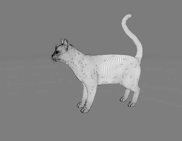 White catty rigged gift 3D model - TurboSquid 1456731