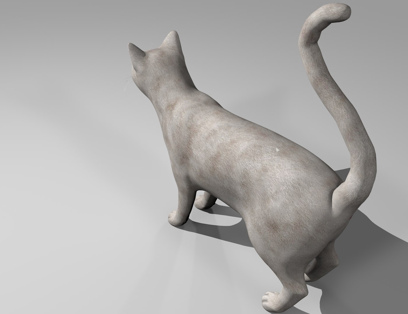White Catty Rigged Gift 3D Model - TurboSquid 1456731