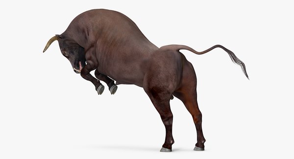 3D bull rigged - TurboSquid 1244091