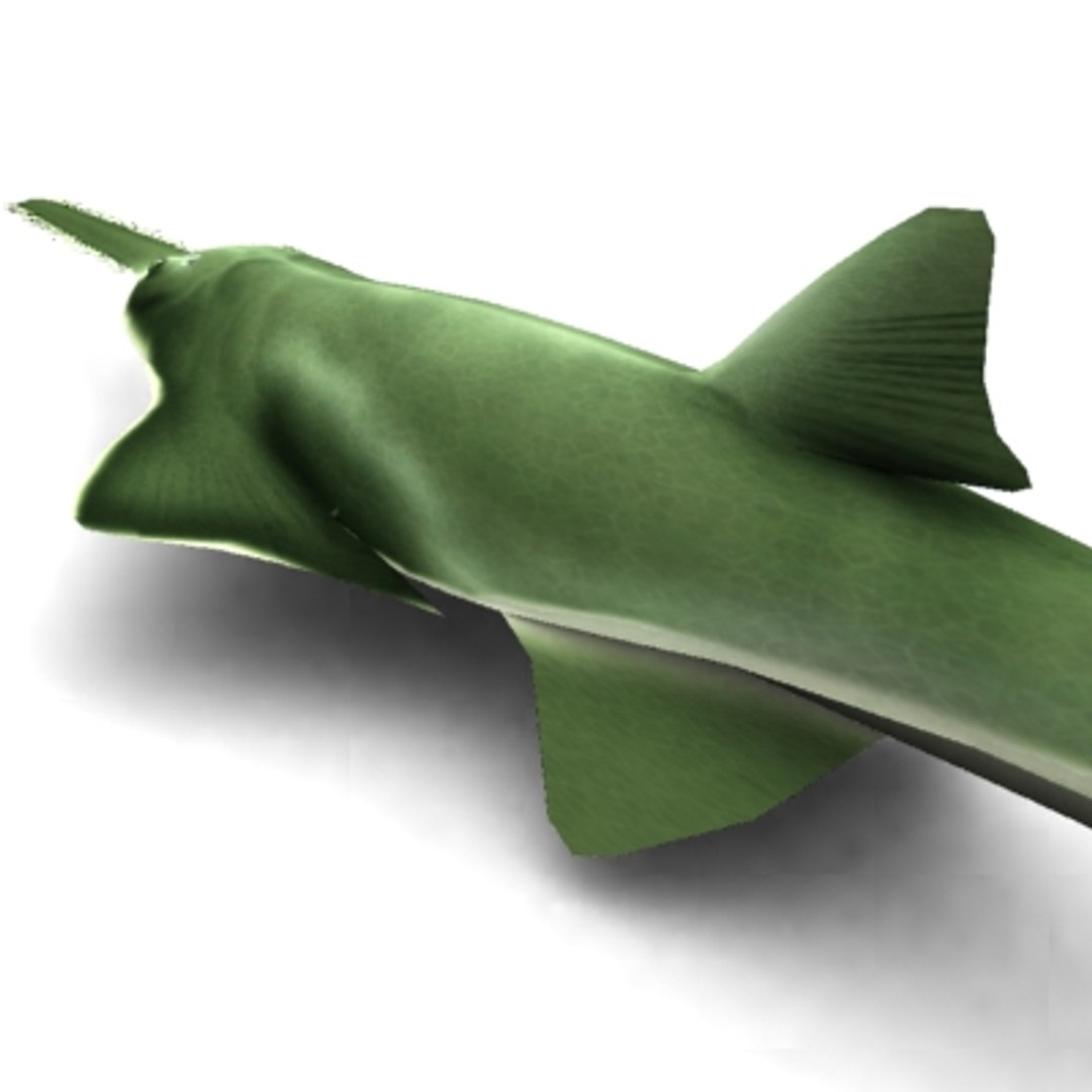 sawfish shark animation 3d model