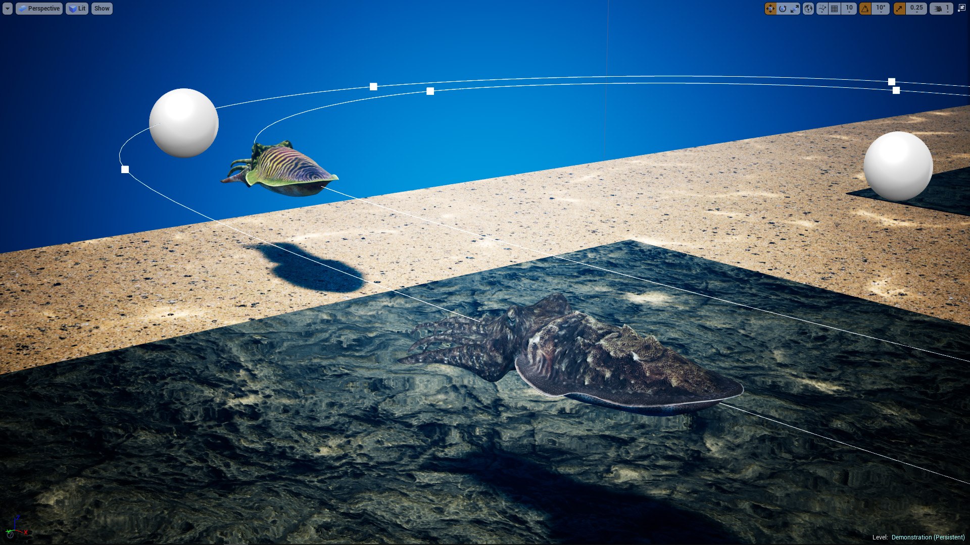 Cuttlefish Animation Octane 3D - TurboSquid 1404735