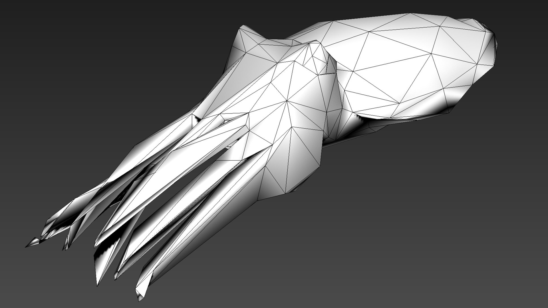 Cuttlefish Animation Octane 3D - TurboSquid 1404735