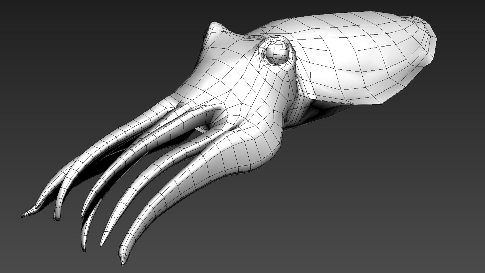 Cuttlefish Animation Octane 3D - TurboSquid 1404735