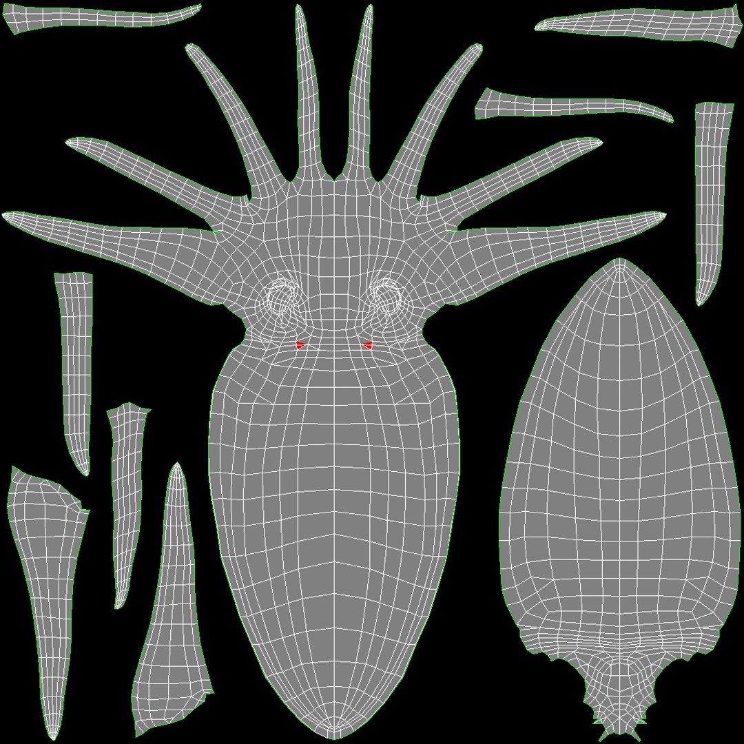 Cuttlefish Animation Octane 3D - TurboSquid 1404735