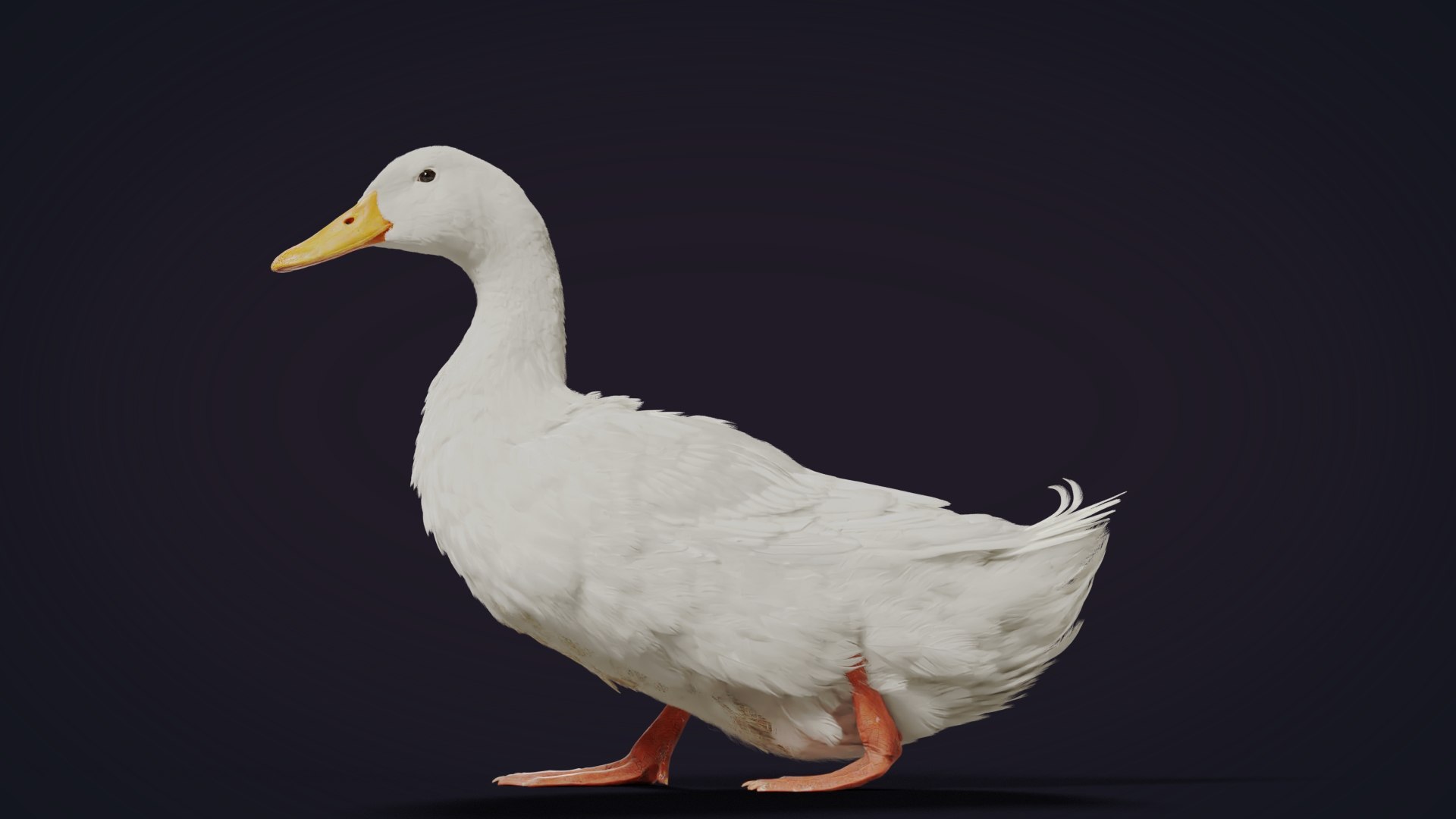 Duck Animated 3D model - TurboSquid 2056596