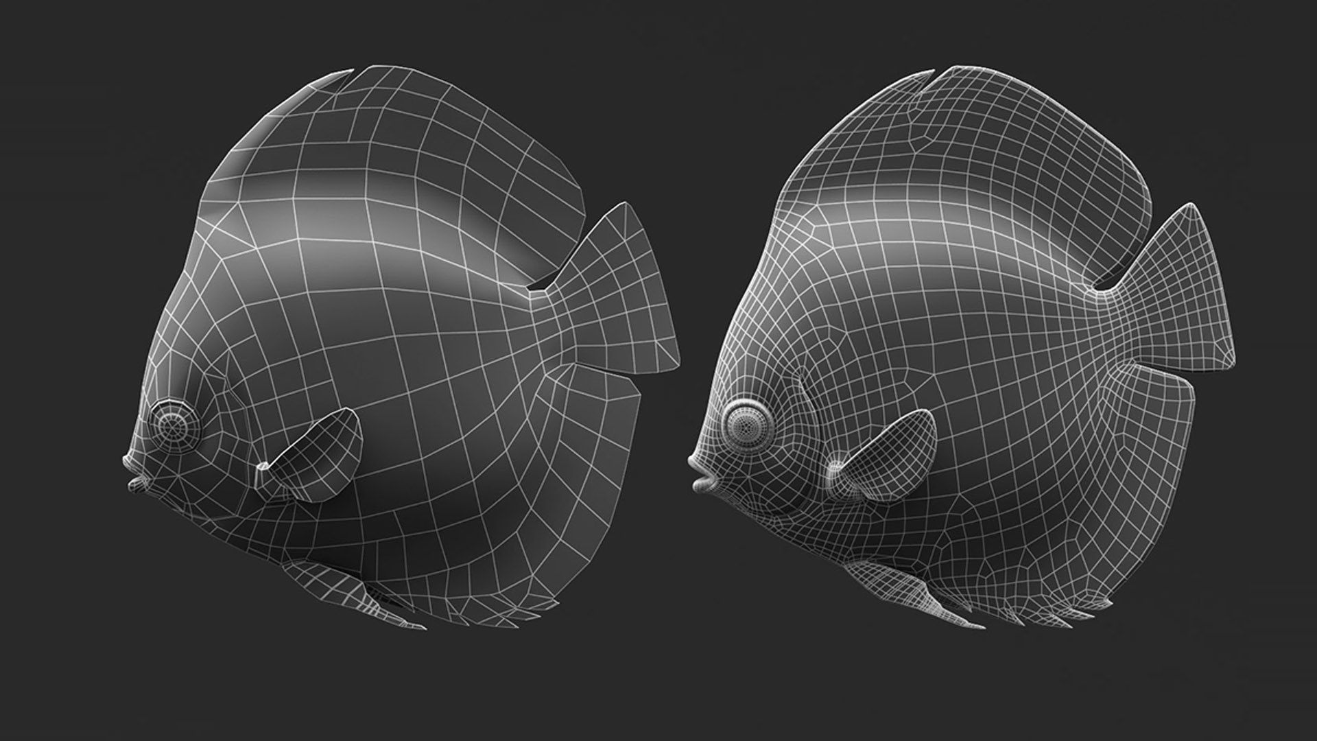 Aquarium Discus Fish 3D Model - TurboSquid 1773512