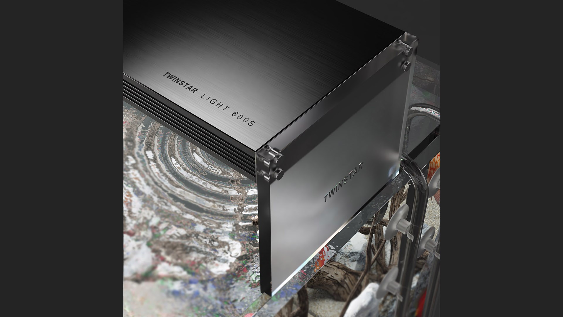 Aquarium Discus Fish 3D Model - TurboSquid 1773512