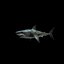 3d Model Rigged Shark Hammerhead