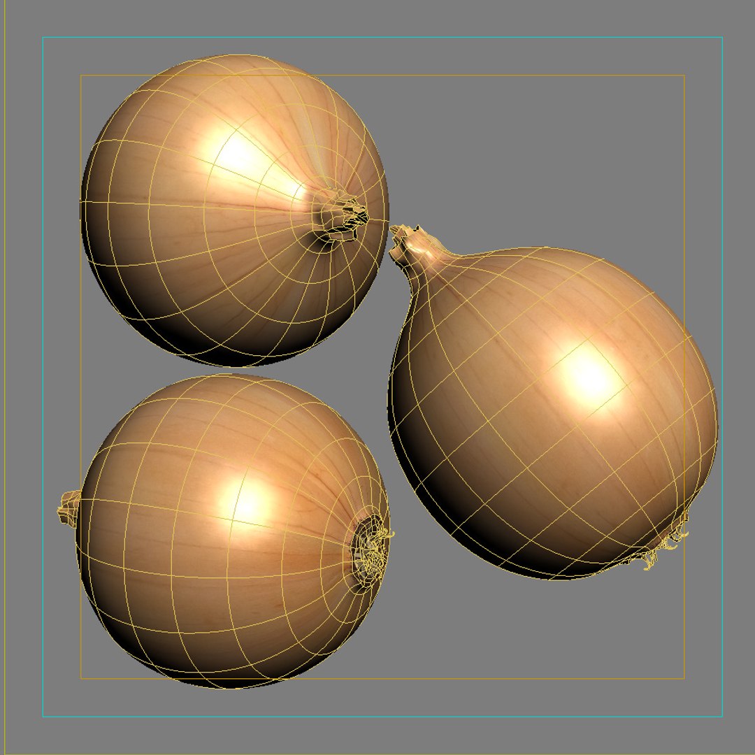 3d Onion Use Model