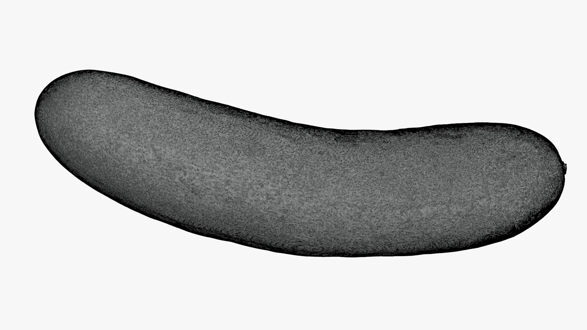 Cucumber 02 For 3D Print 3D Model - TurboSquid 2369829