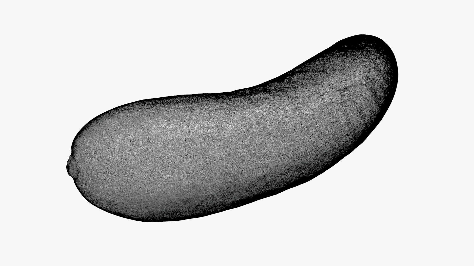 Cucumber 02 For 3D Print 3D Model - TurboSquid 2369829