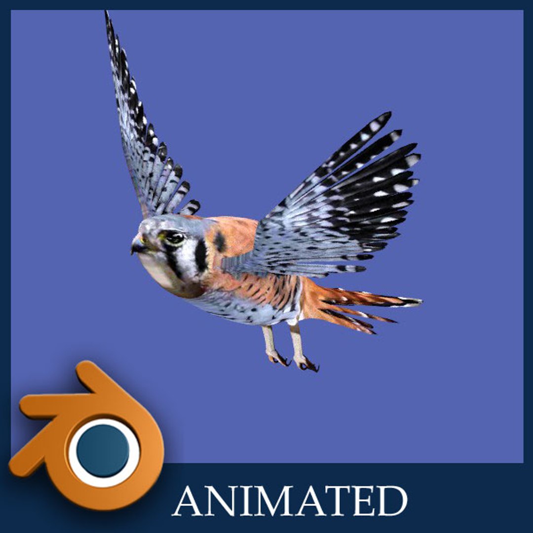 Kestrel Falcon 3d Blend