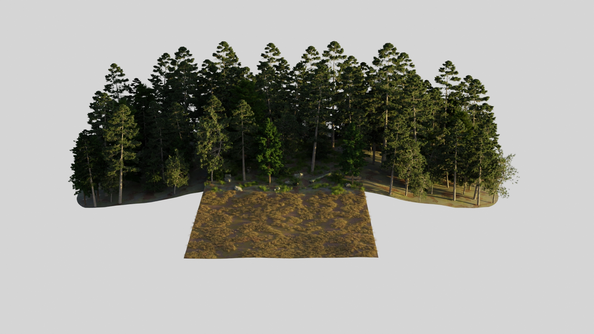 Blender nature forest ground 3D model - TurboSquid 1701188