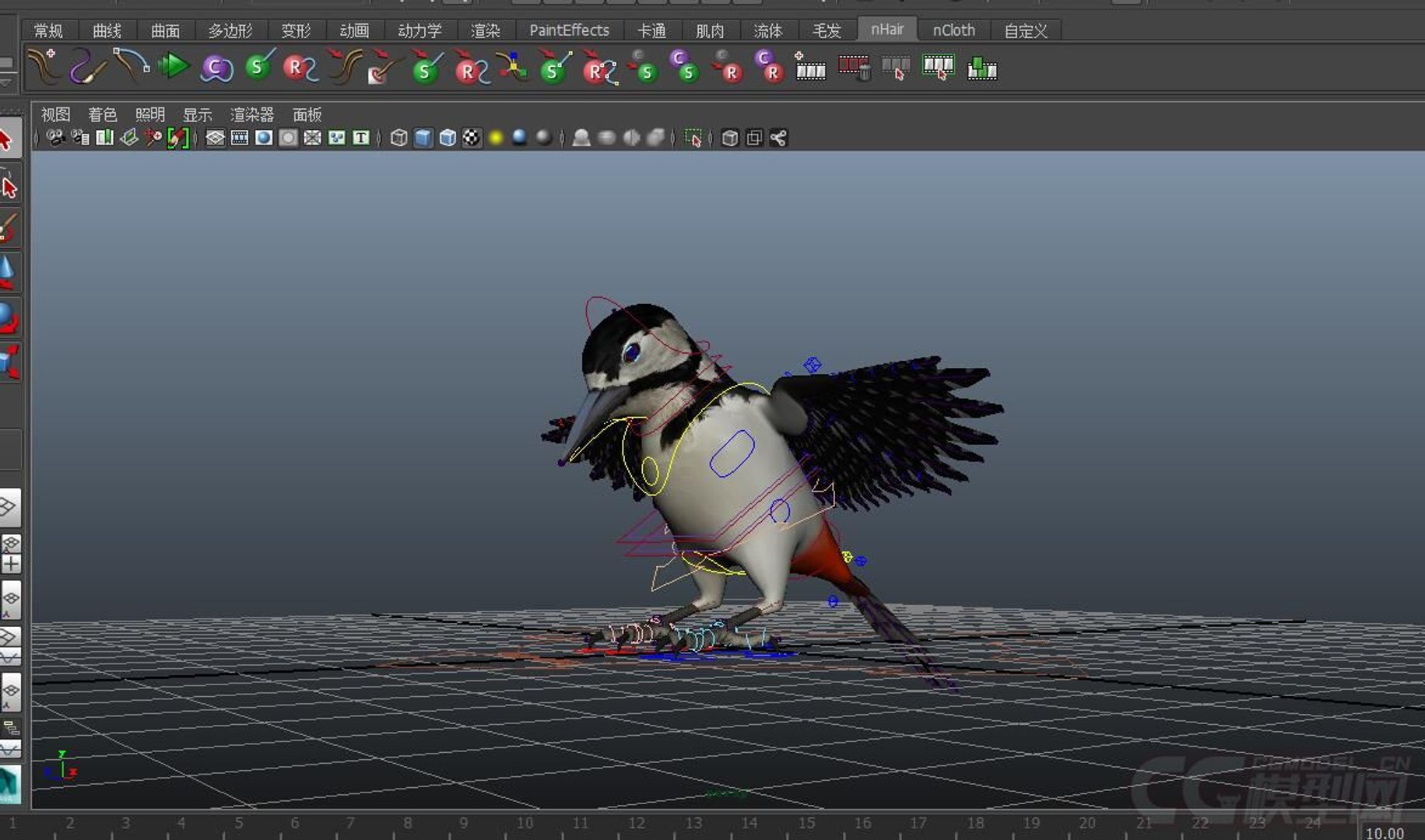 Birds Rigging 3d Ma