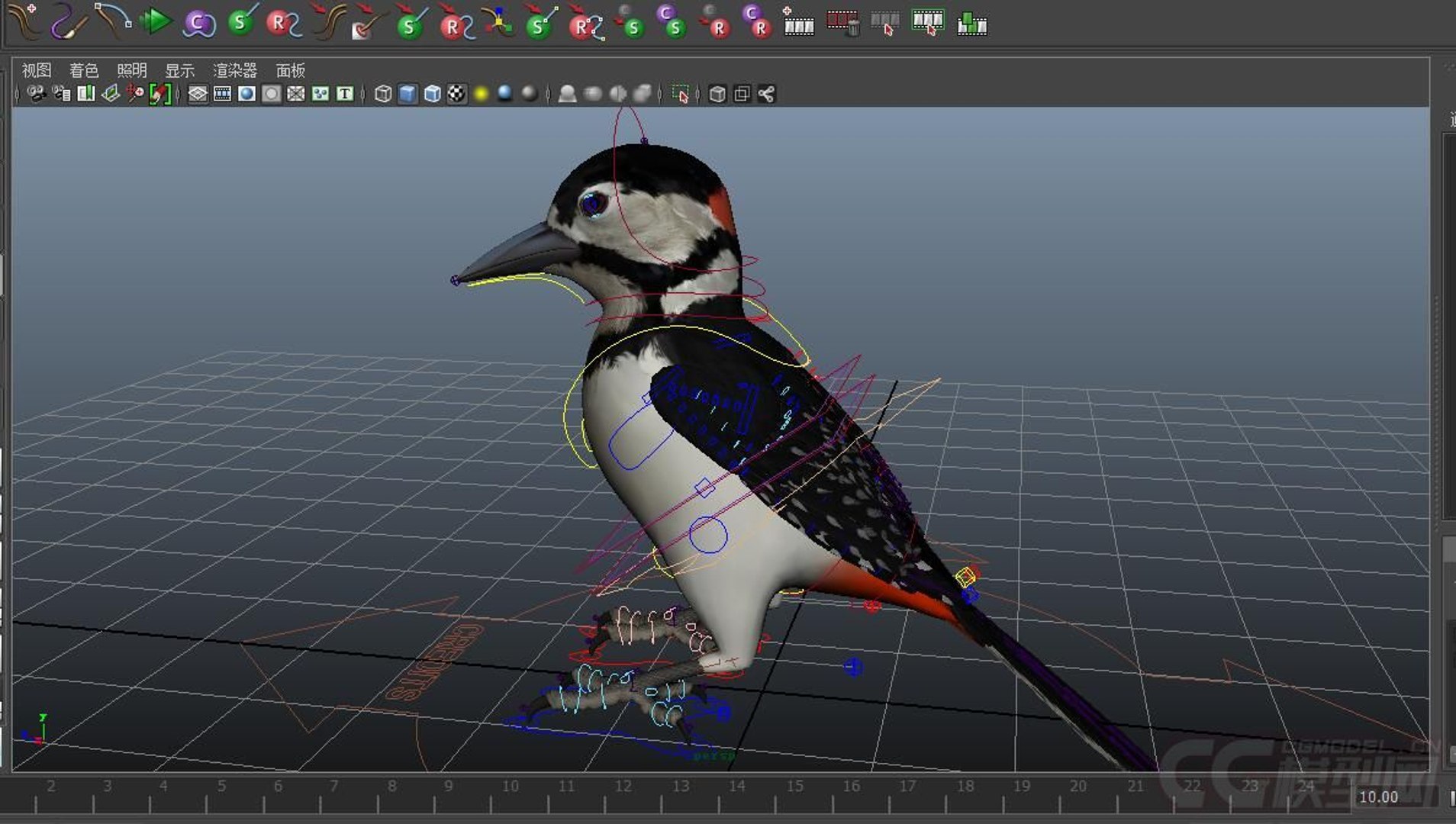 Birds Rigging 3d Ma