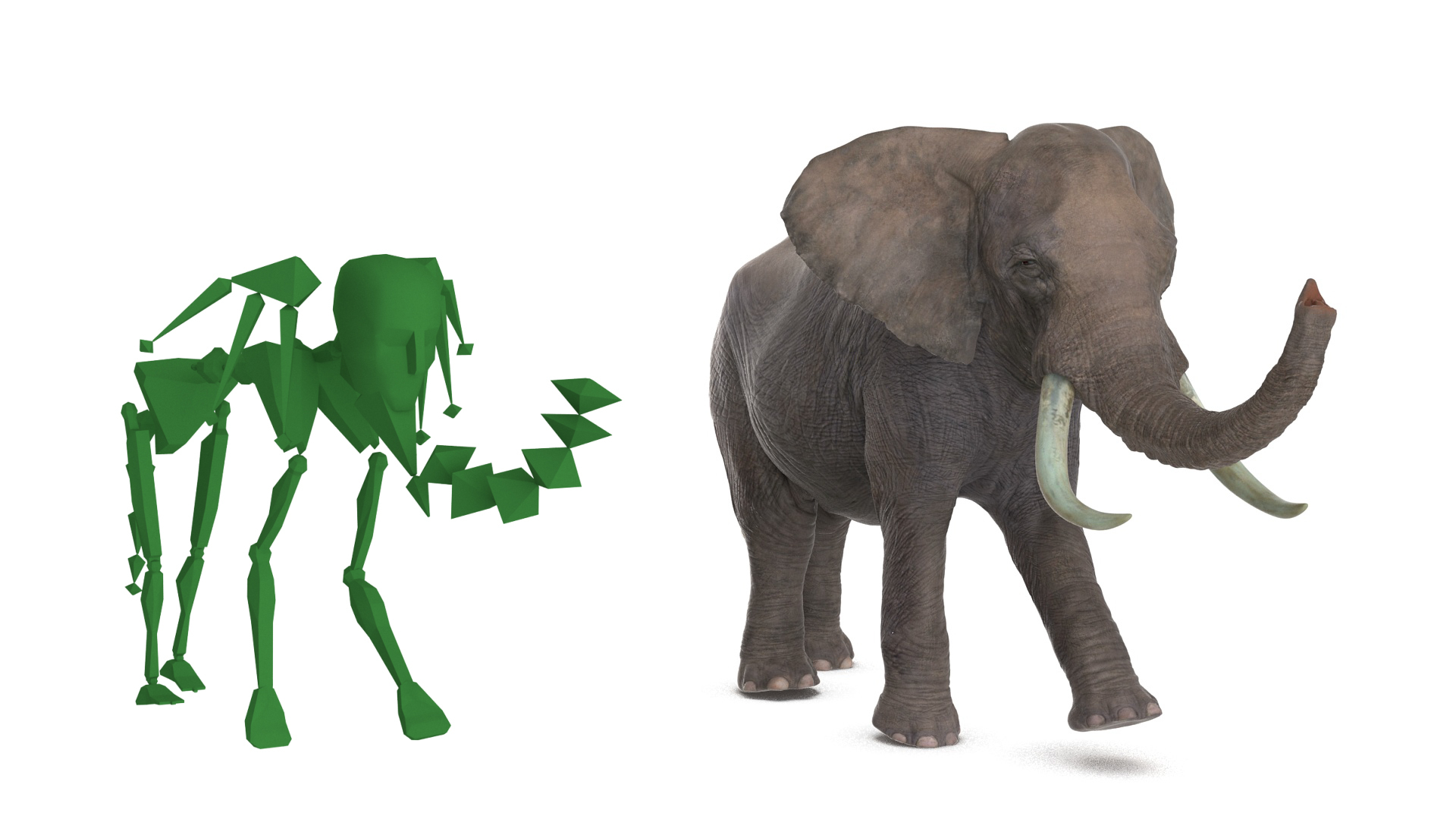 3D African Elephant Photorealistic Rigged Fur - TurboSquid 2302631