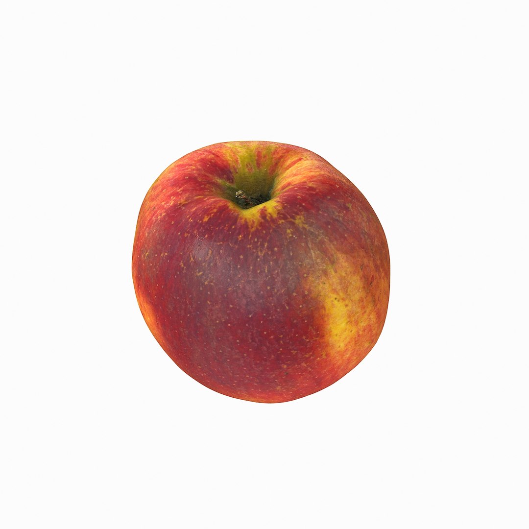 Realistic Normals 3D Model - TurboSquid 1210997