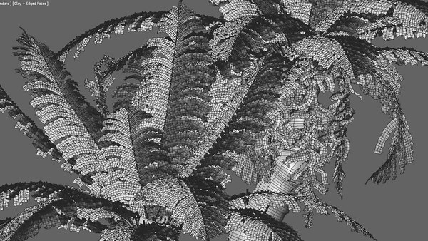 modelo 3d Dicksonia antarctica - helecho 02 - TurboSquid 1782070