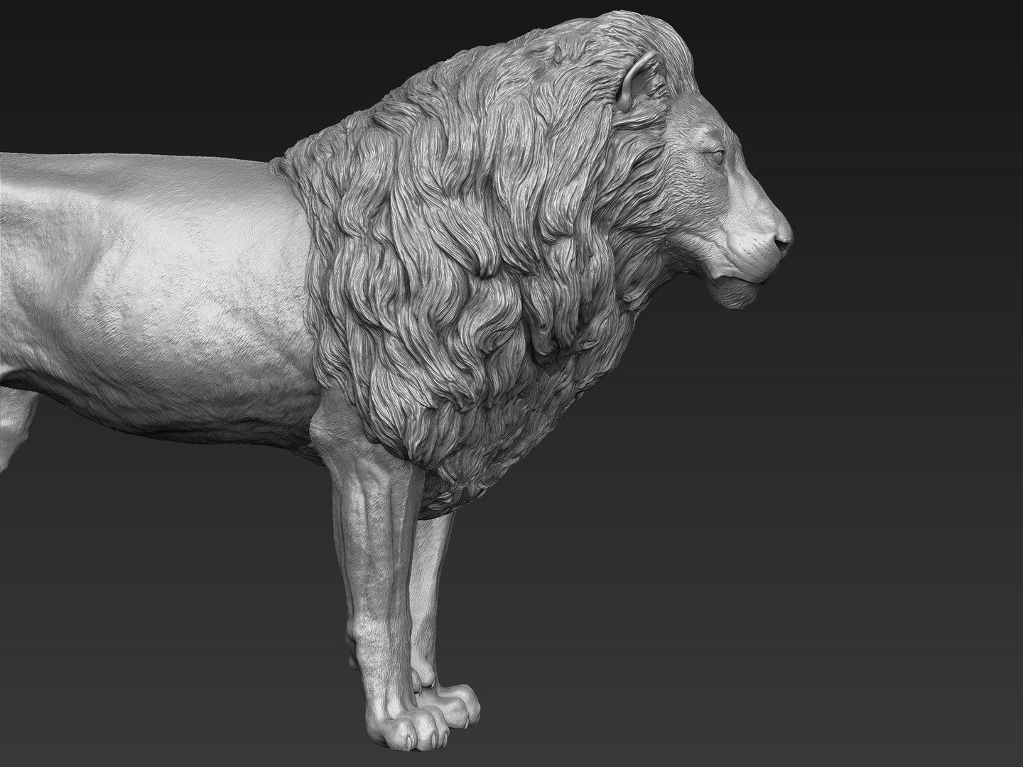 Lion realistic 3D - TurboSquid 1290876