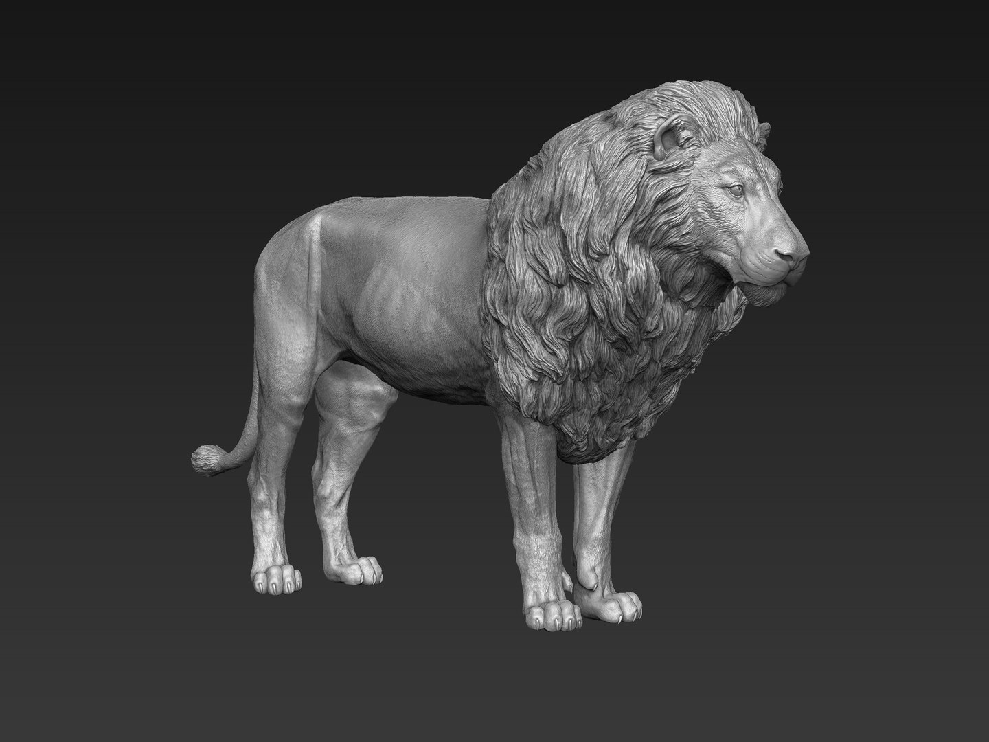 Lion realistic 3D - TurboSquid 1290876
