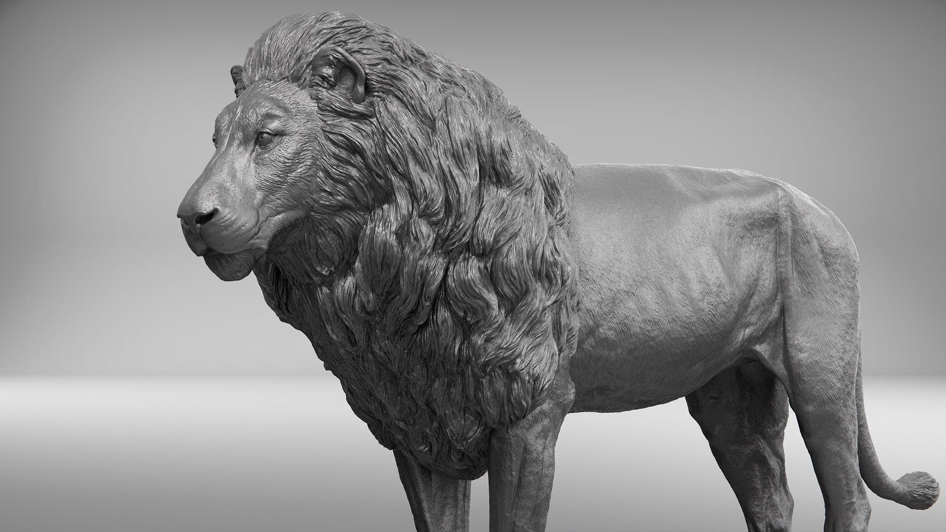Lion Realistic 3D - TurboSquid 1290876
