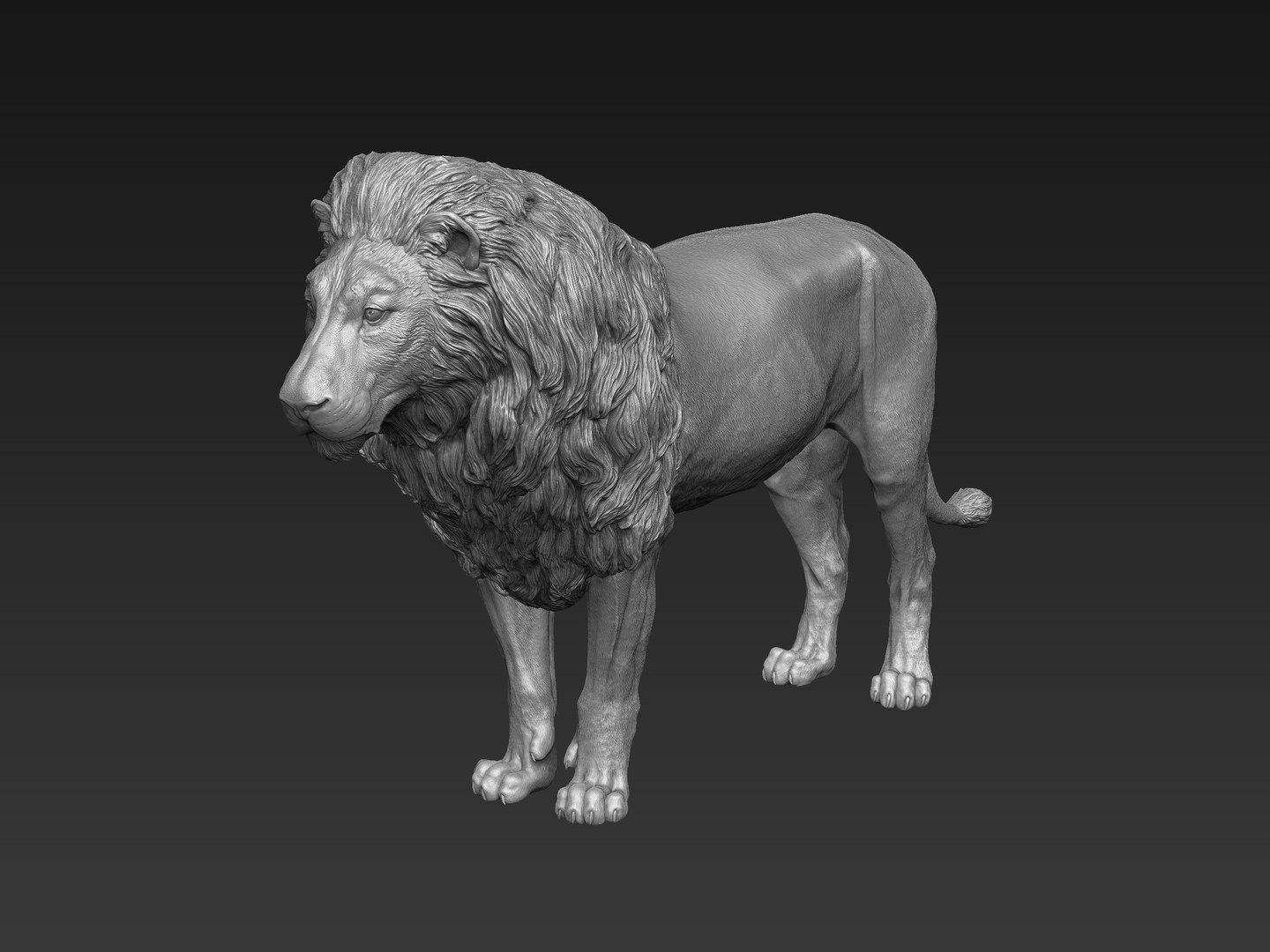 Lion realistic 3D - TurboSquid 1290876