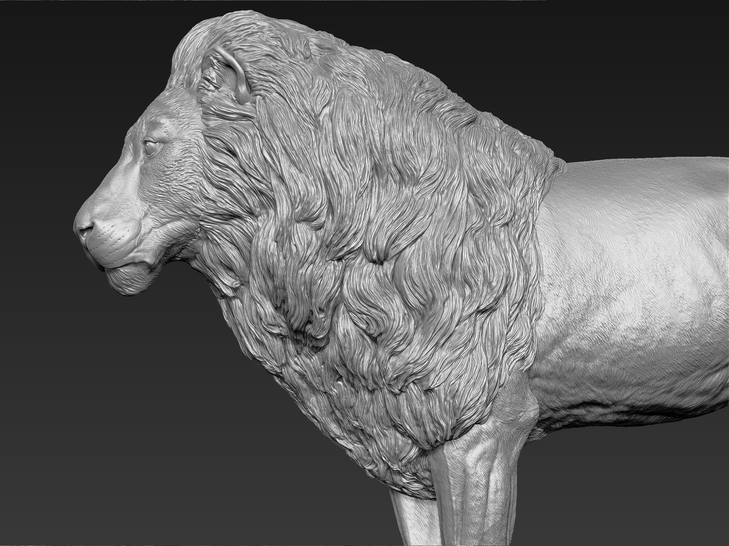 Lion realistic 3D - TurboSquid 1290876