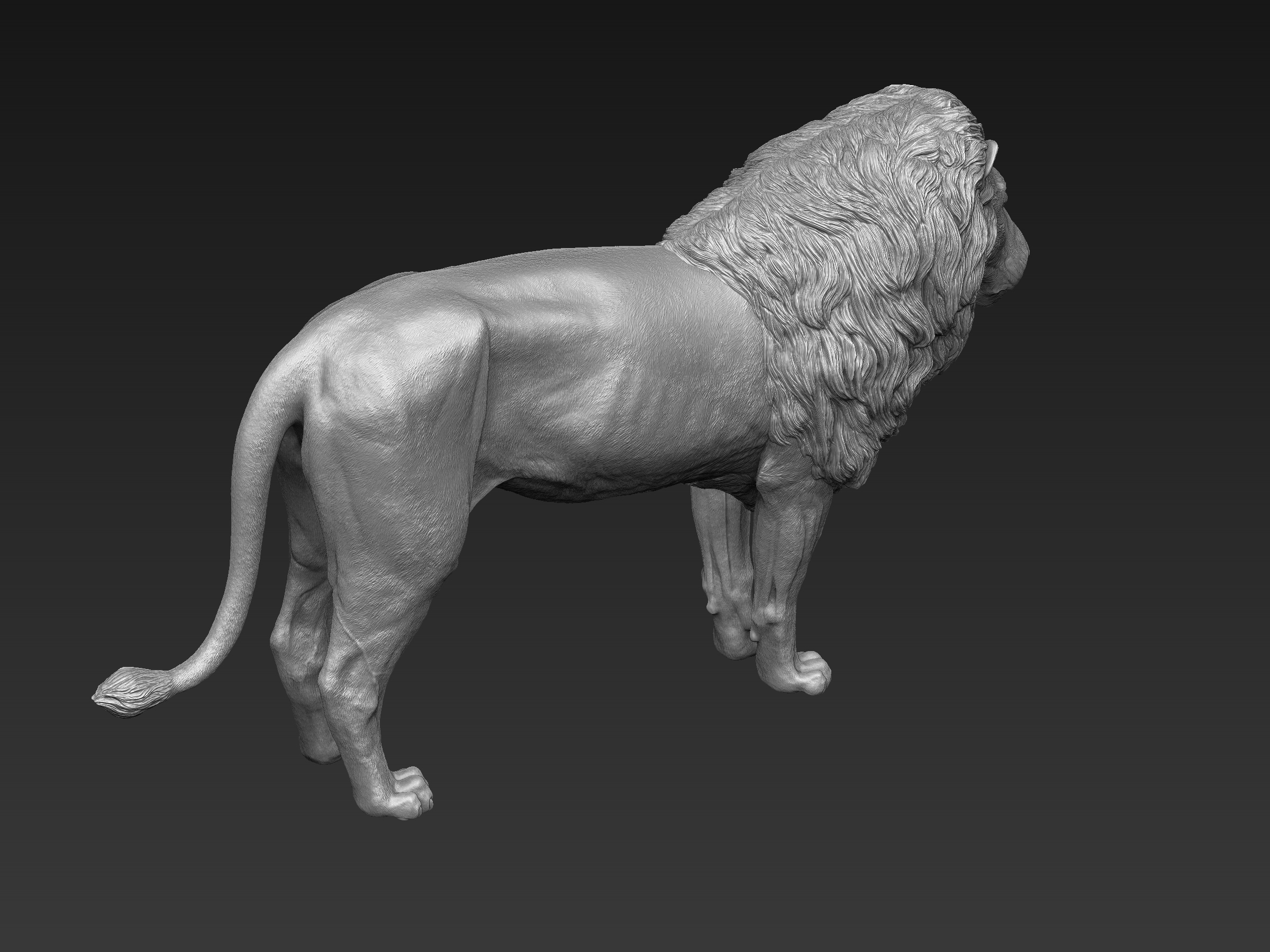 Lion realistic 3D - TurboSquid 1290876
